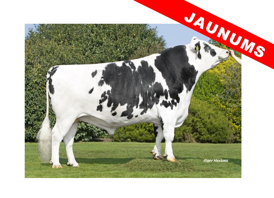 Jaunums - MARENO - Aktualitātes - sileniecescs